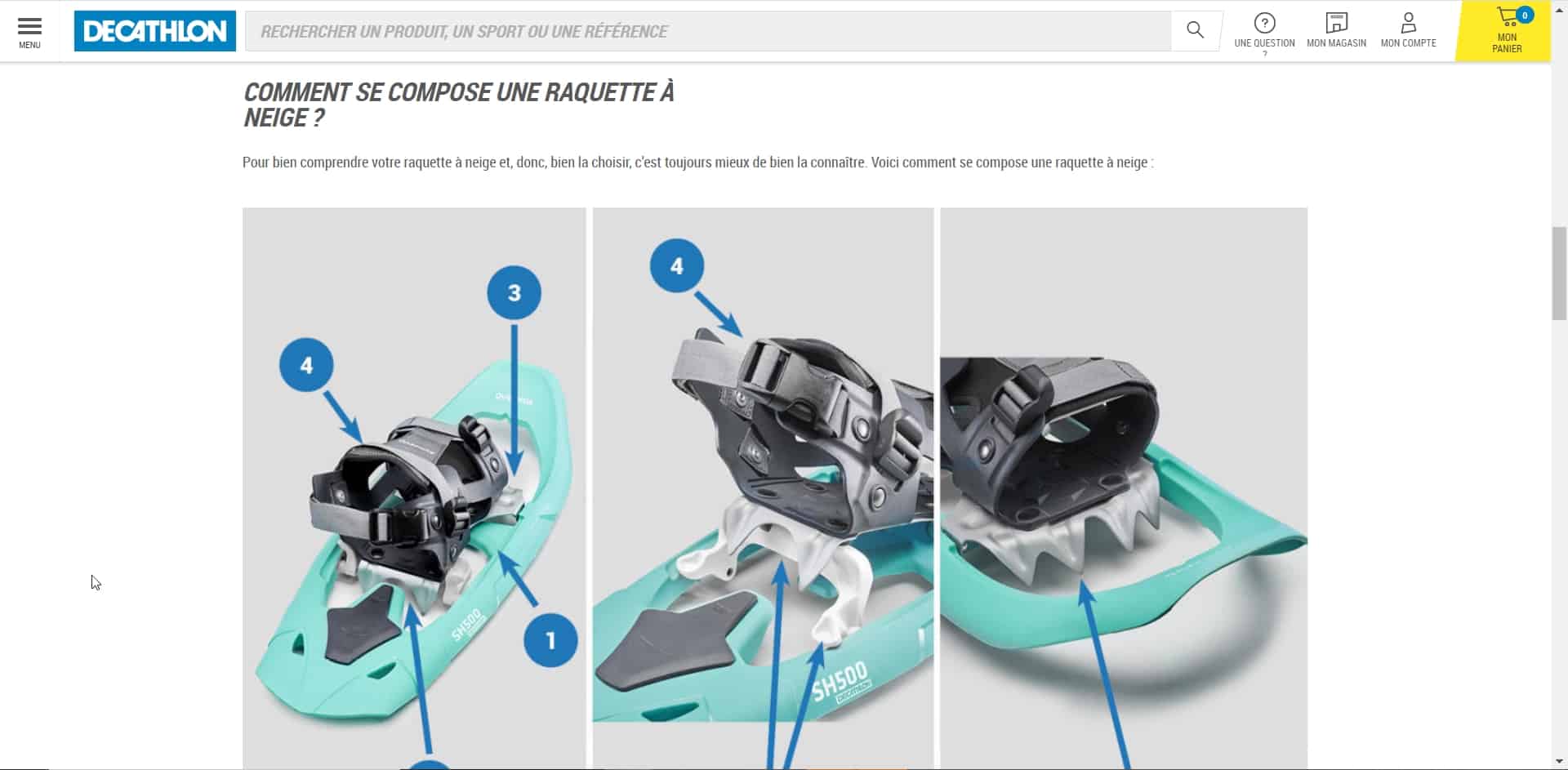 Stratégie digitale Decathlon – Site Internet (2) | Savoir Plus
